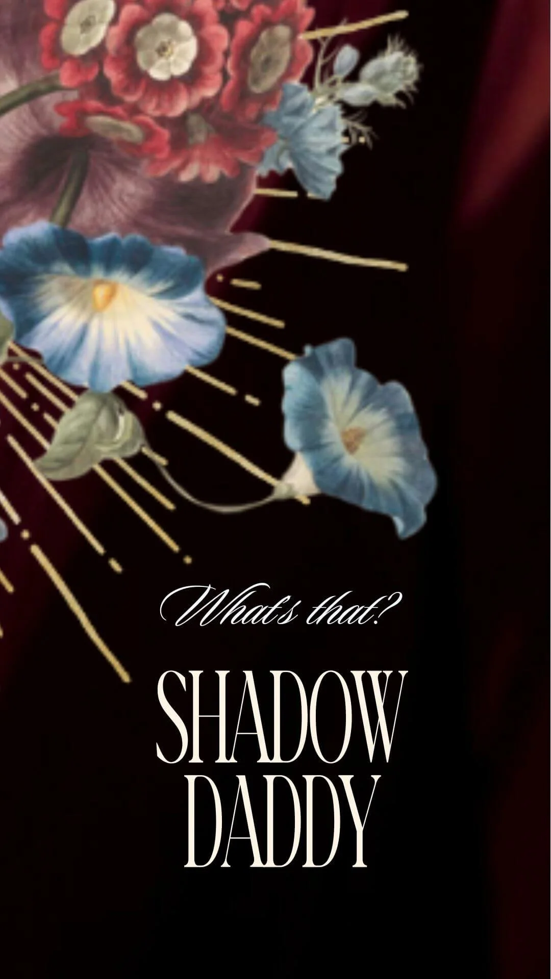 What Is a “Shadow Daddy” in Books? | VICTORIA ZUCKERFELD