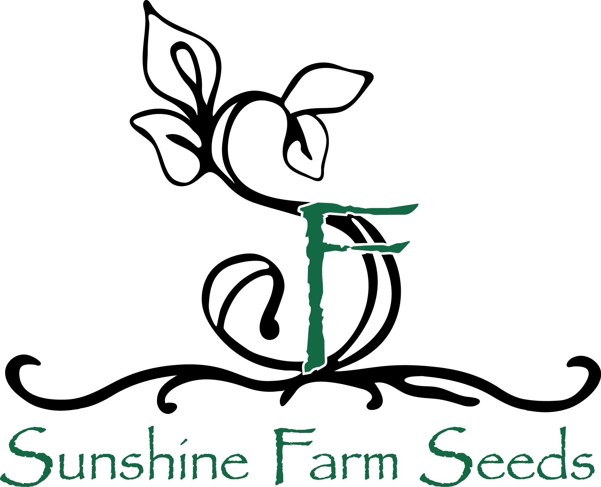 Bakito Lettuce — Sunshine Farm Seeds
