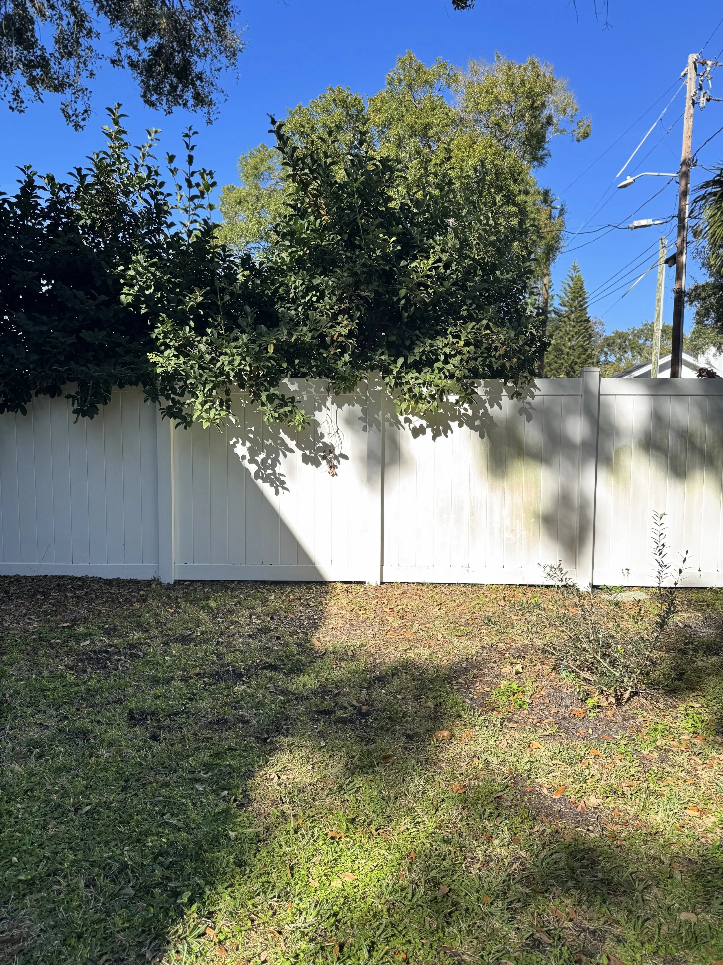 Yard Wellness Check — Wilder Landscapes