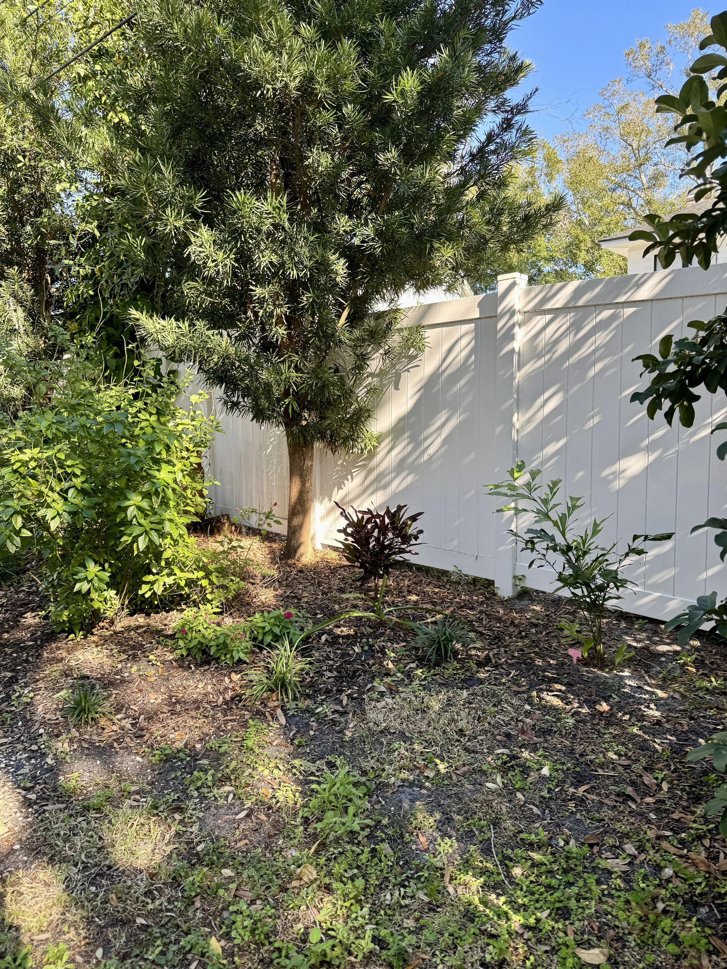 Yard Wellness Check — Wilder Landscapes