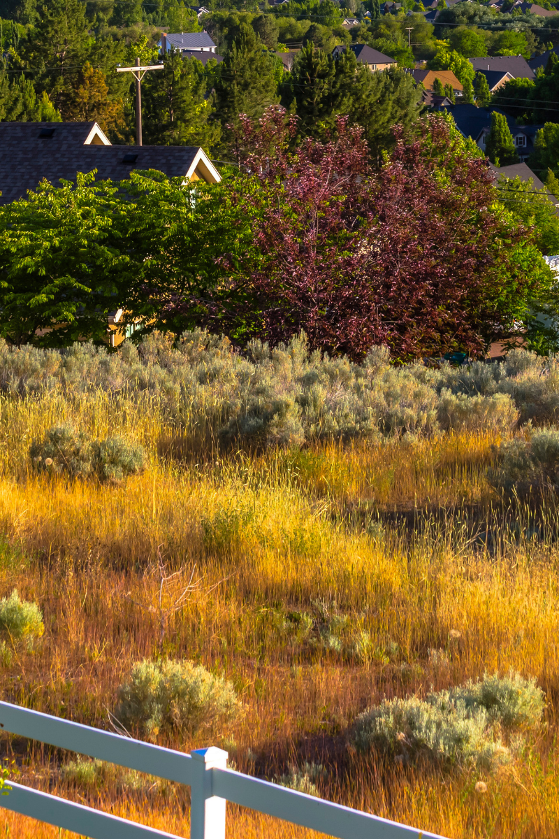 Moving to Orem Utah. Real Pros, Cons and What You Should Know! — MARIAH ...