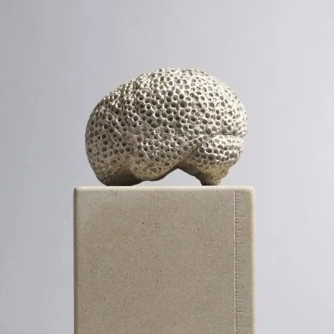 Gallery — RACHEL JOYNT