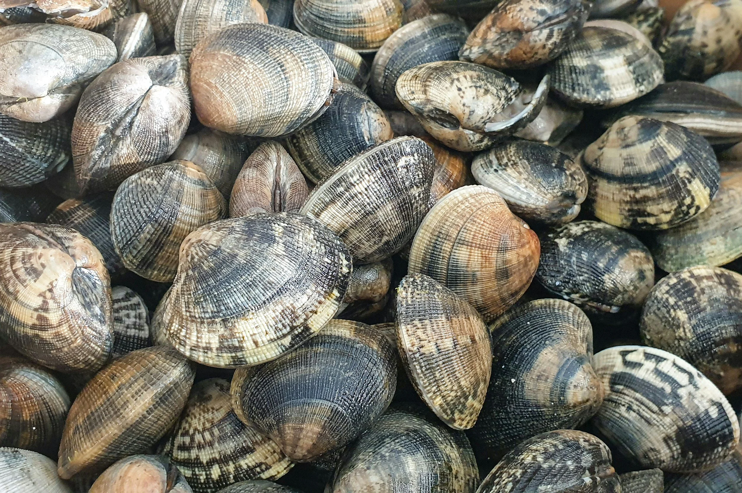2026 Sea Farmers Conference & Trade Show | Participate in Aquaculture ...