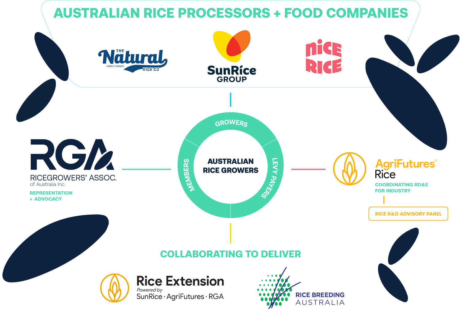 SunRice Group | Discover Quality Rice Products - Join Us Today ...