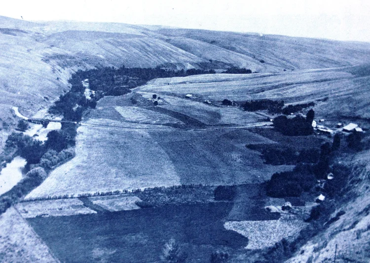 About Palouse Heritage | Regeneratively Grown Heritage Grains from ...