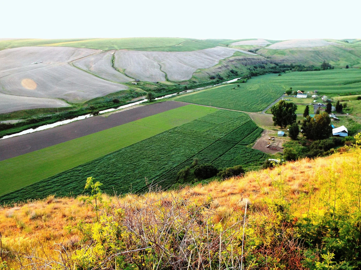 About Palouse Heritage | Regeneratively Grown Heritage Grains from ...