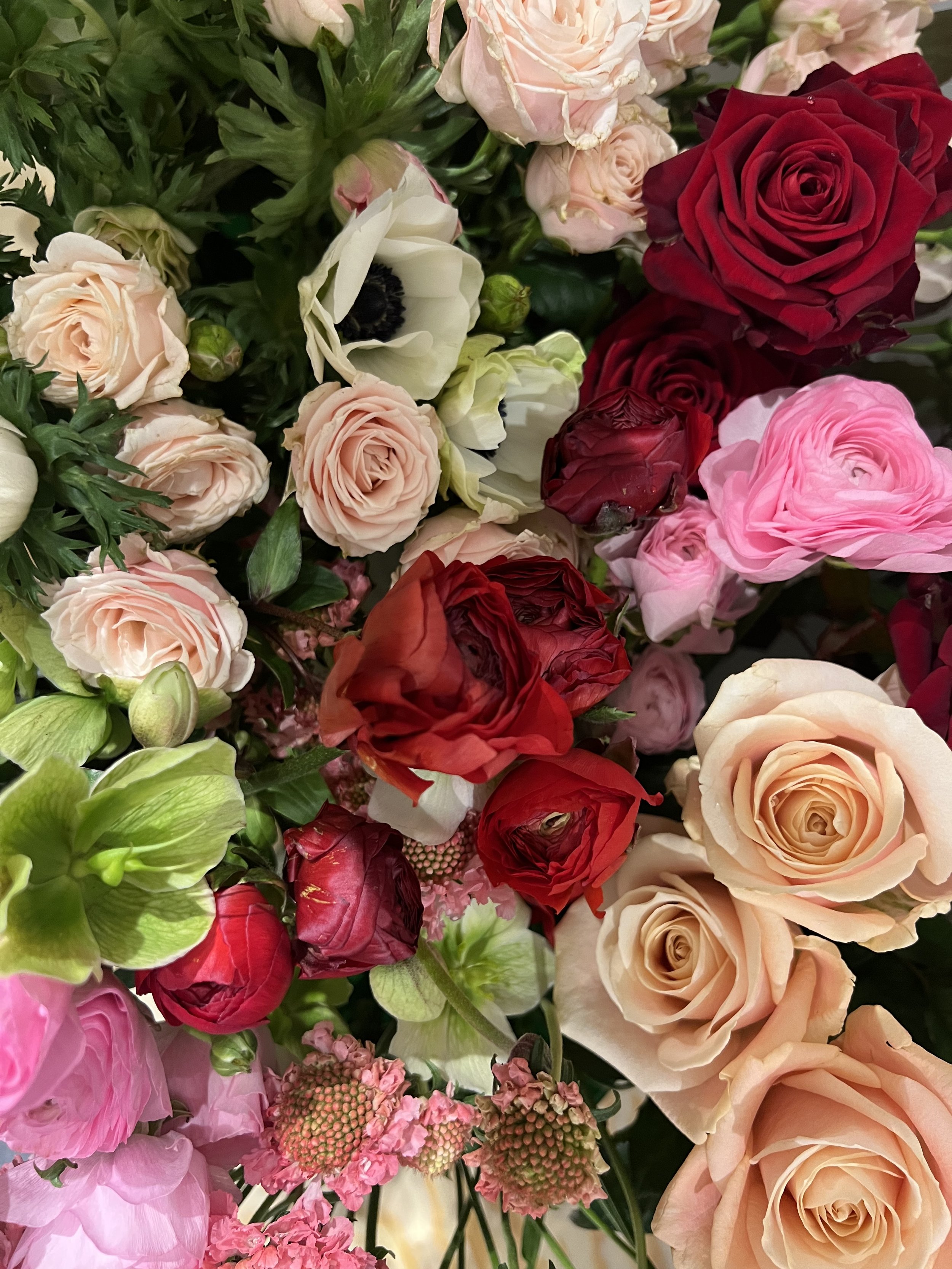 Gallery 3 — Hannah Evans Flowers