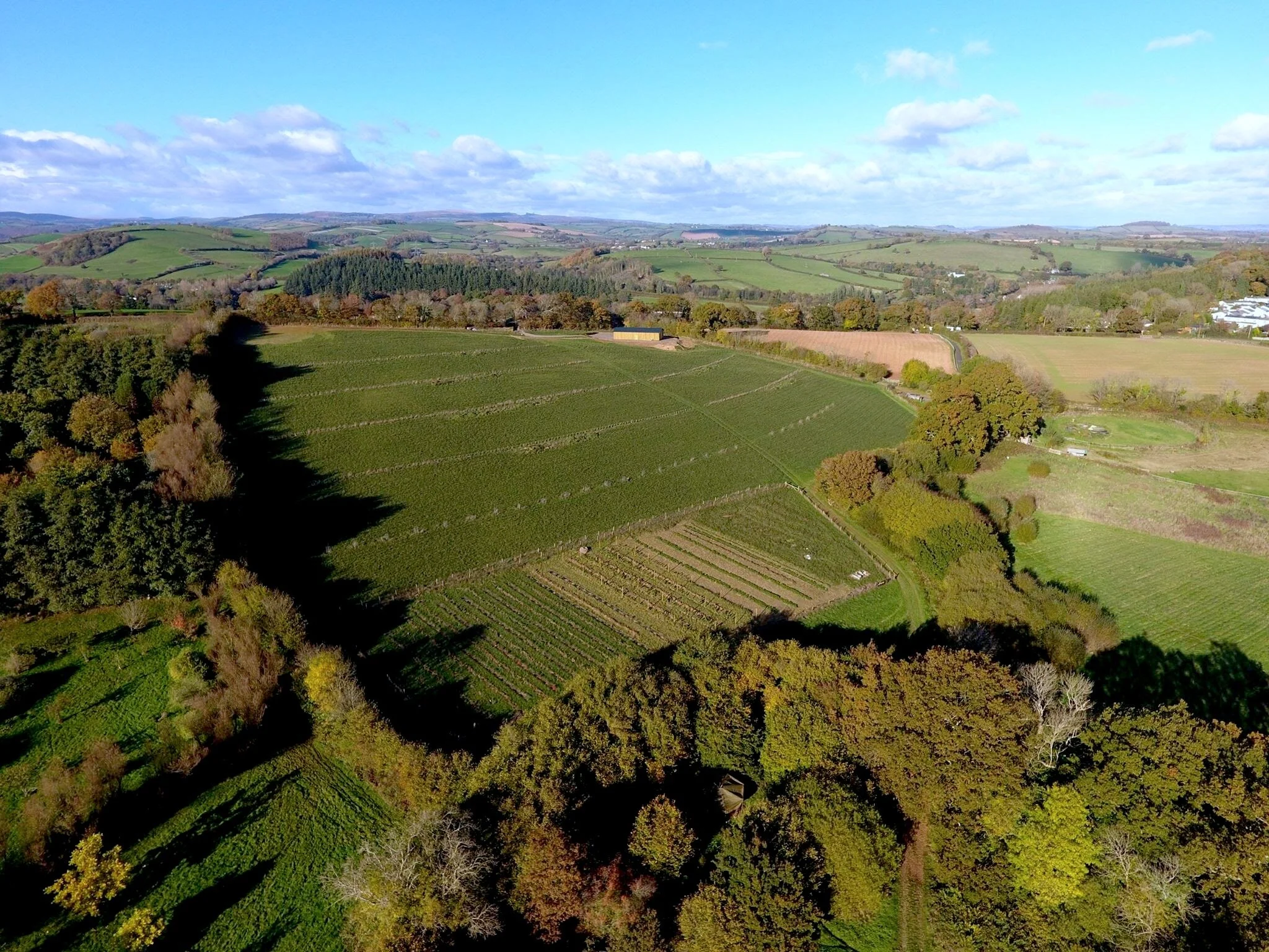 Level 4 Regenerative Land-Based Systems: Agroecology | The Apricot ...