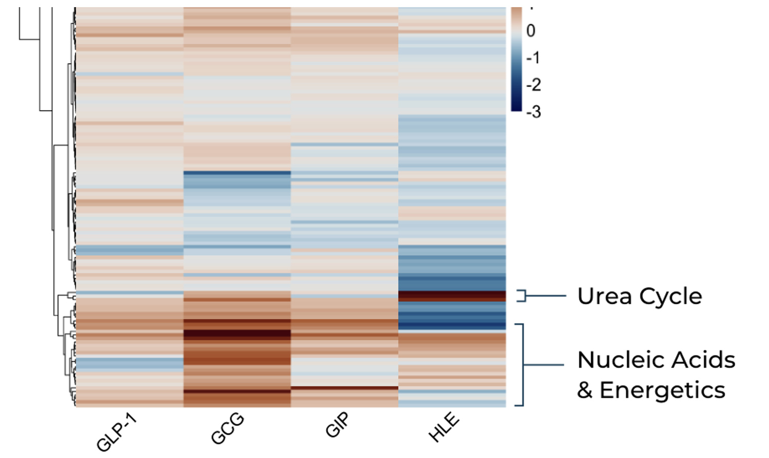 Case Study: GLP-1 and Incretin Mimetics with an AI Drug Discovery ...