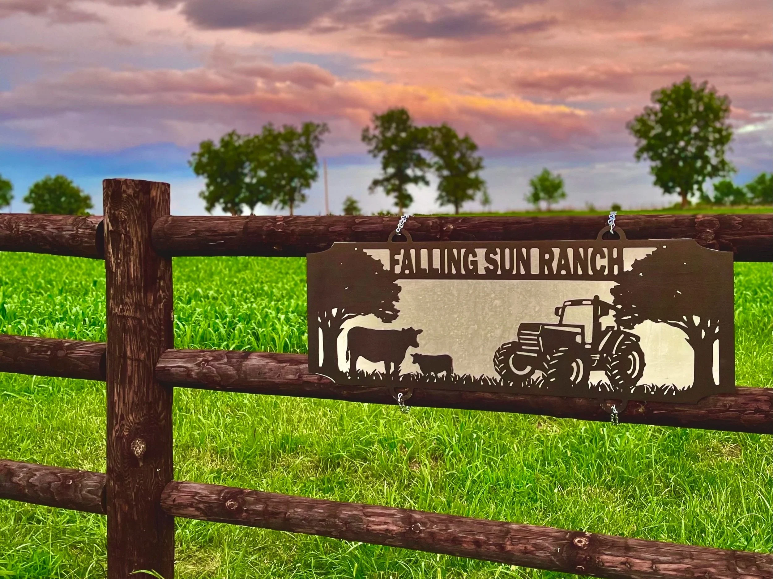Falling Sun Ranch | Rotationally-Grazed, Grass-Fed Beef | Pasture ...