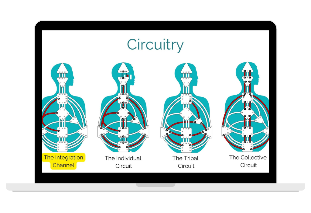 Human Design Mastery Program | Professional Certification Training