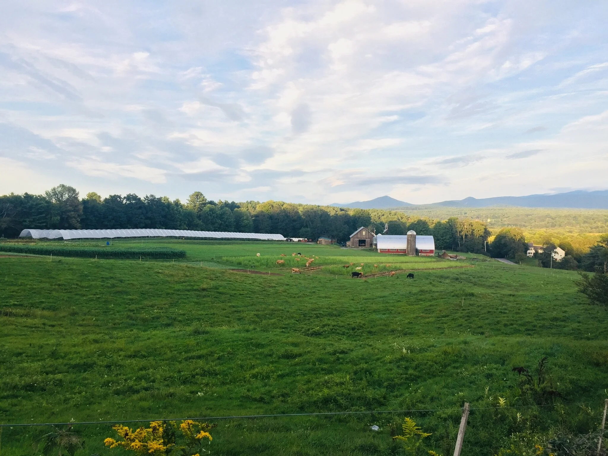 Meet Molly Gray — Molly Gray for Vermont