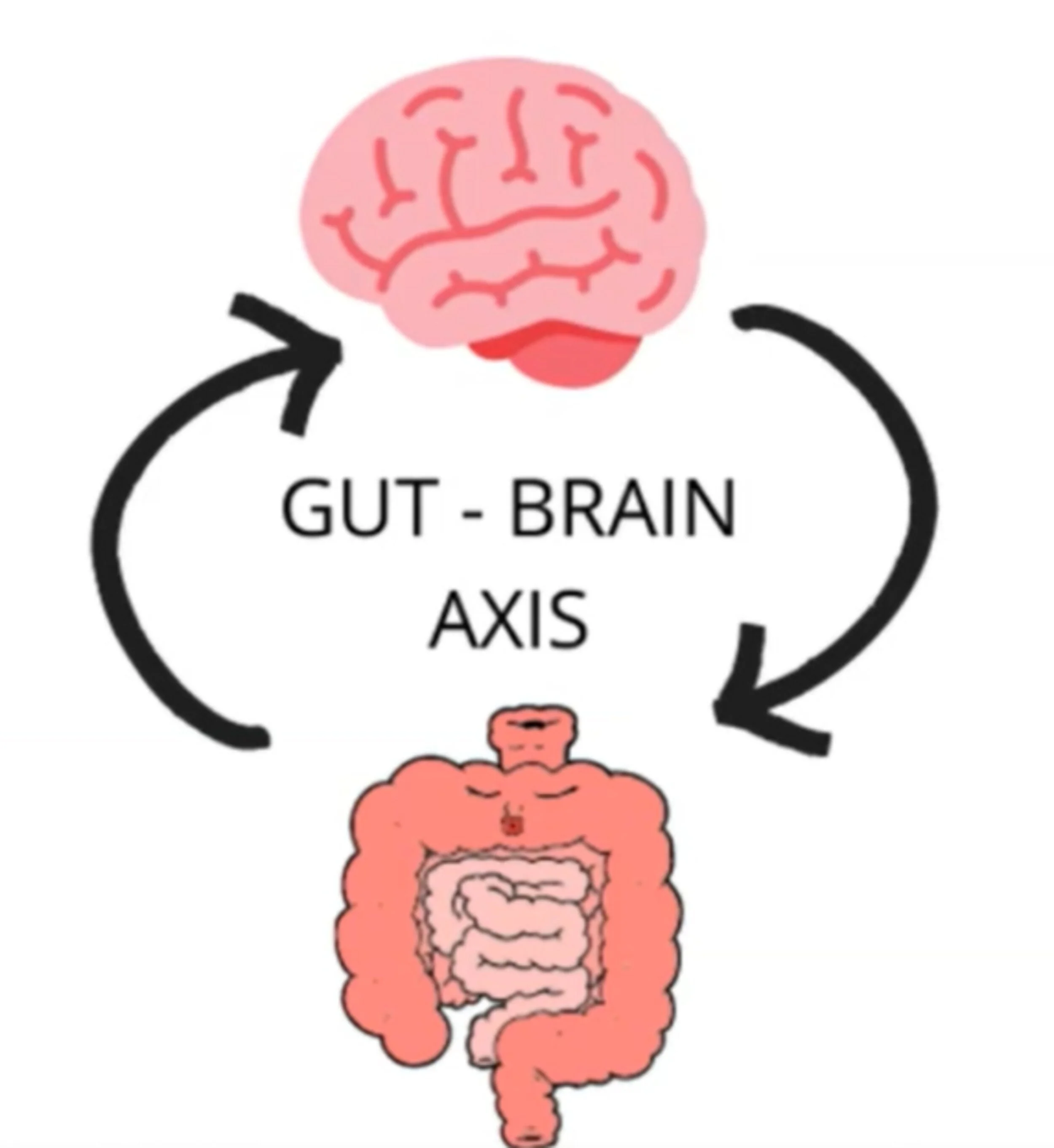 The gut- heart – head -communication cycle — Irritable Bowel Syndrome ...