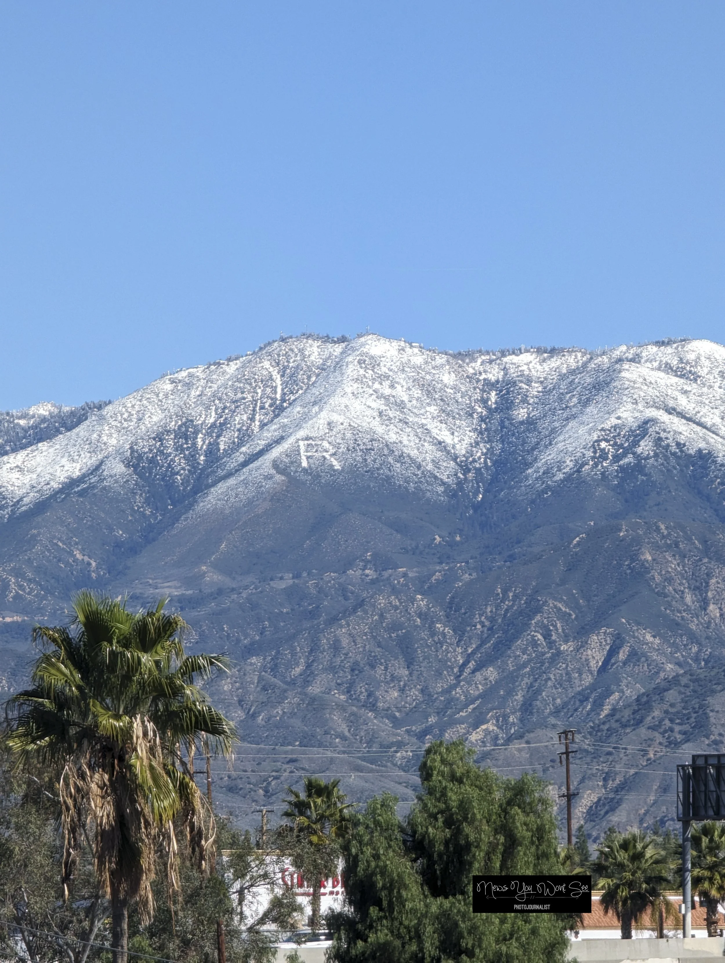 Redlands News Collective | Stay Informed Today