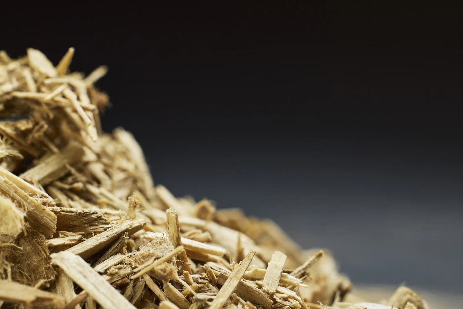 Arbion Industries - advanced biocarbon production