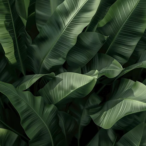 Contact — MARIE MAJOR