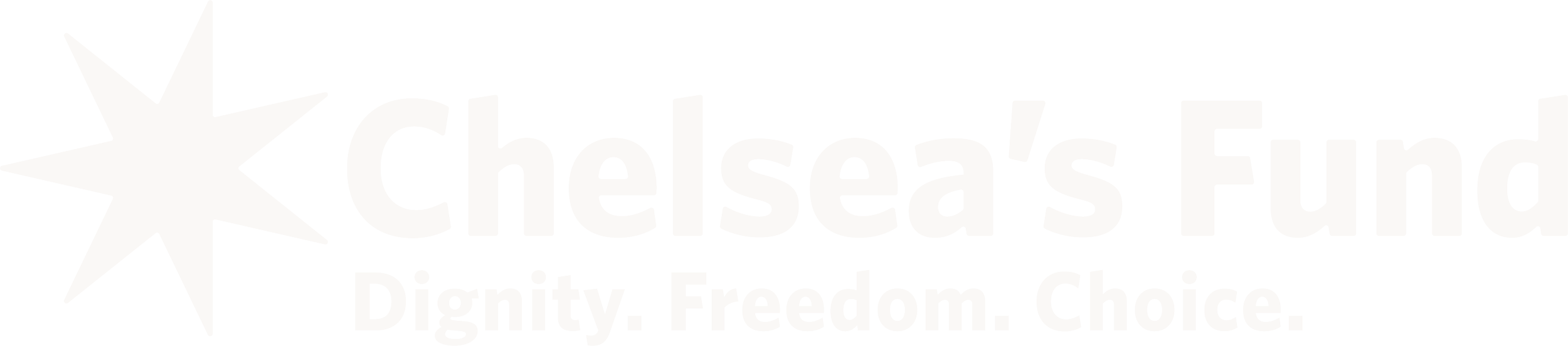 Chelsea's Fund | Support Reproductive Freedom Today
