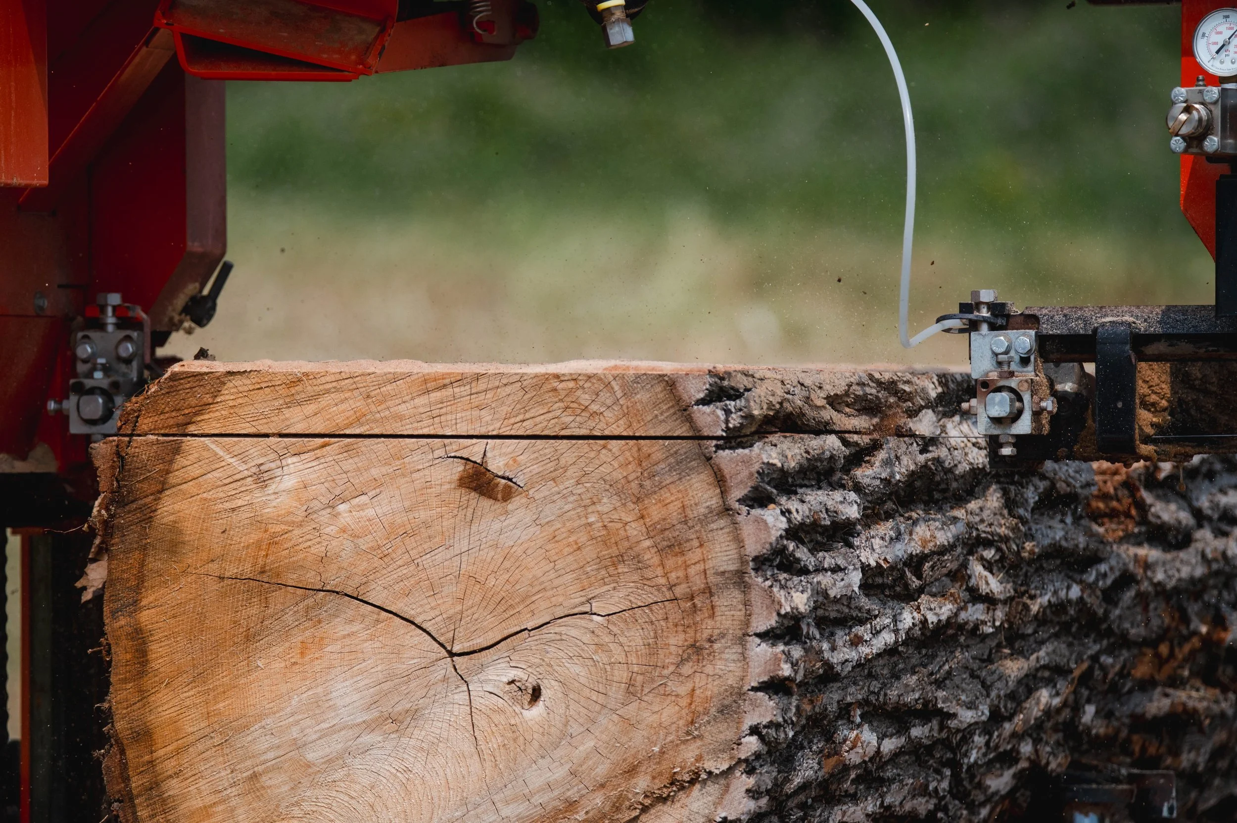 Bur Oak Projects — Forest Exploration Center