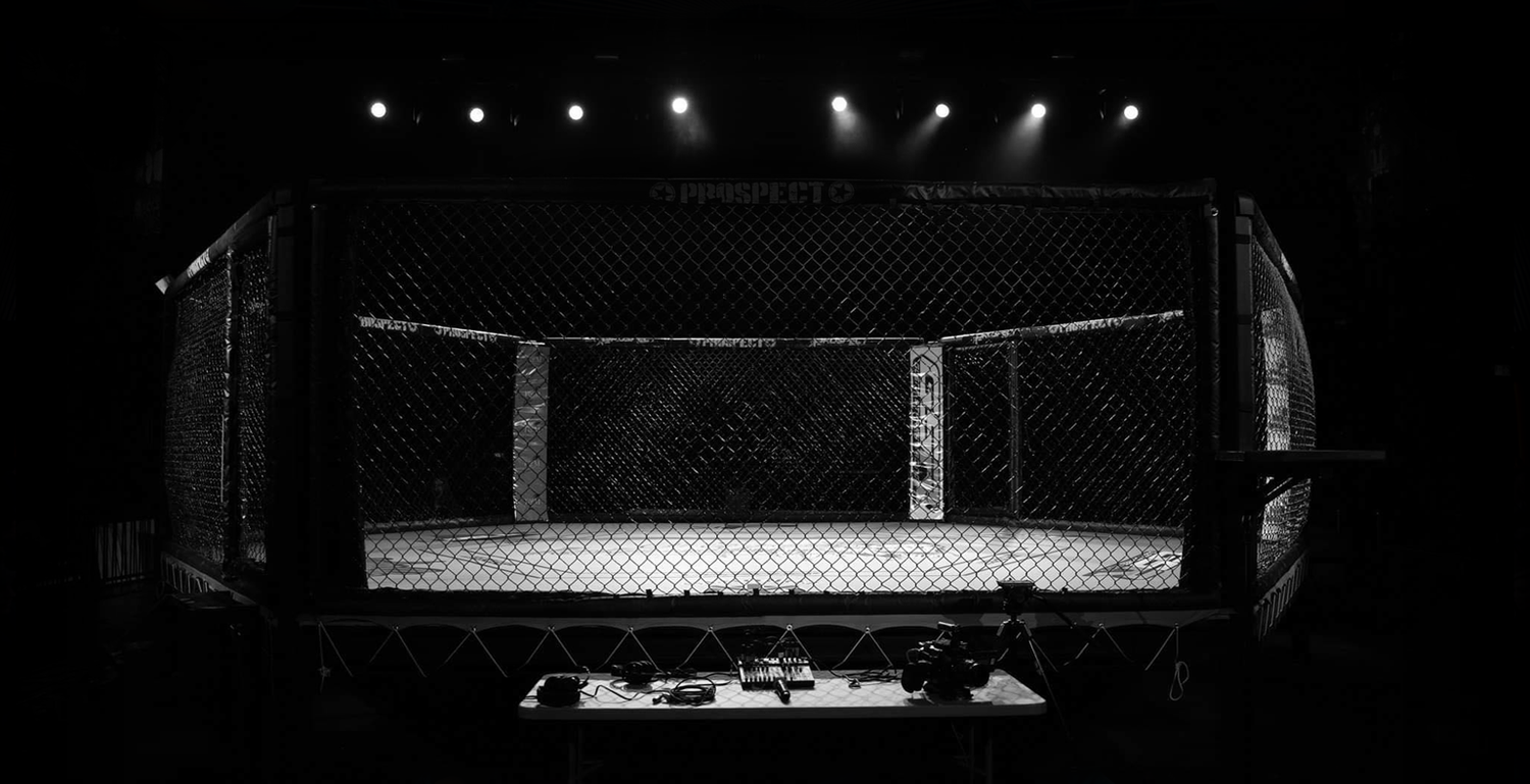 Prospect Fighting Championships - Ontario's Premier MMA Promotion