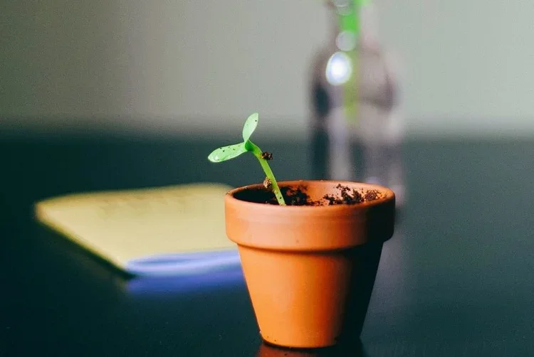 7 Stages of Change — Geraldine Carter