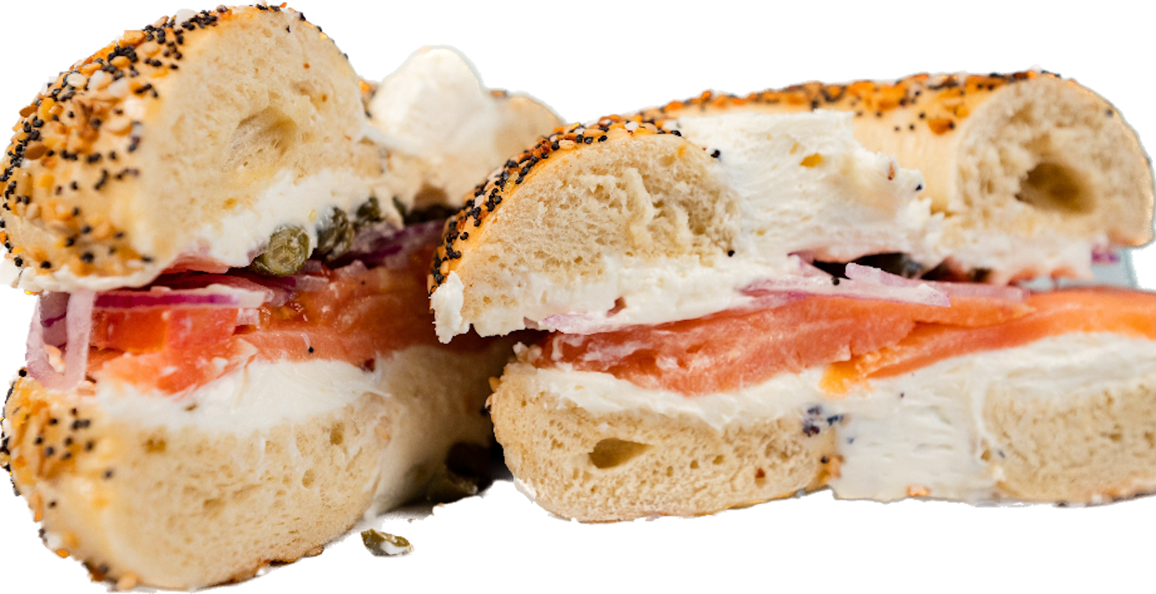 Salty Bagel and Grill - Best Bagels in Indian Harbor Beach, FL - Nova ...