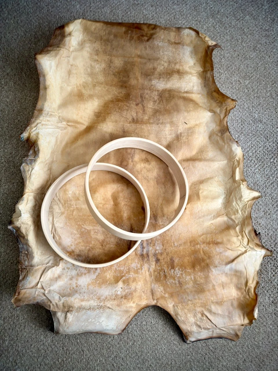 Scottish Stag Rawhide — Wild Selkie Drums