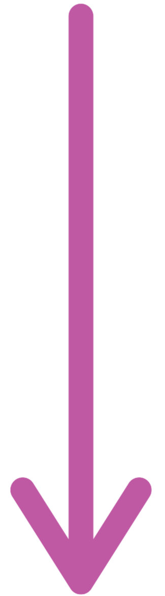 Chicago Dominatrix — Erin Black