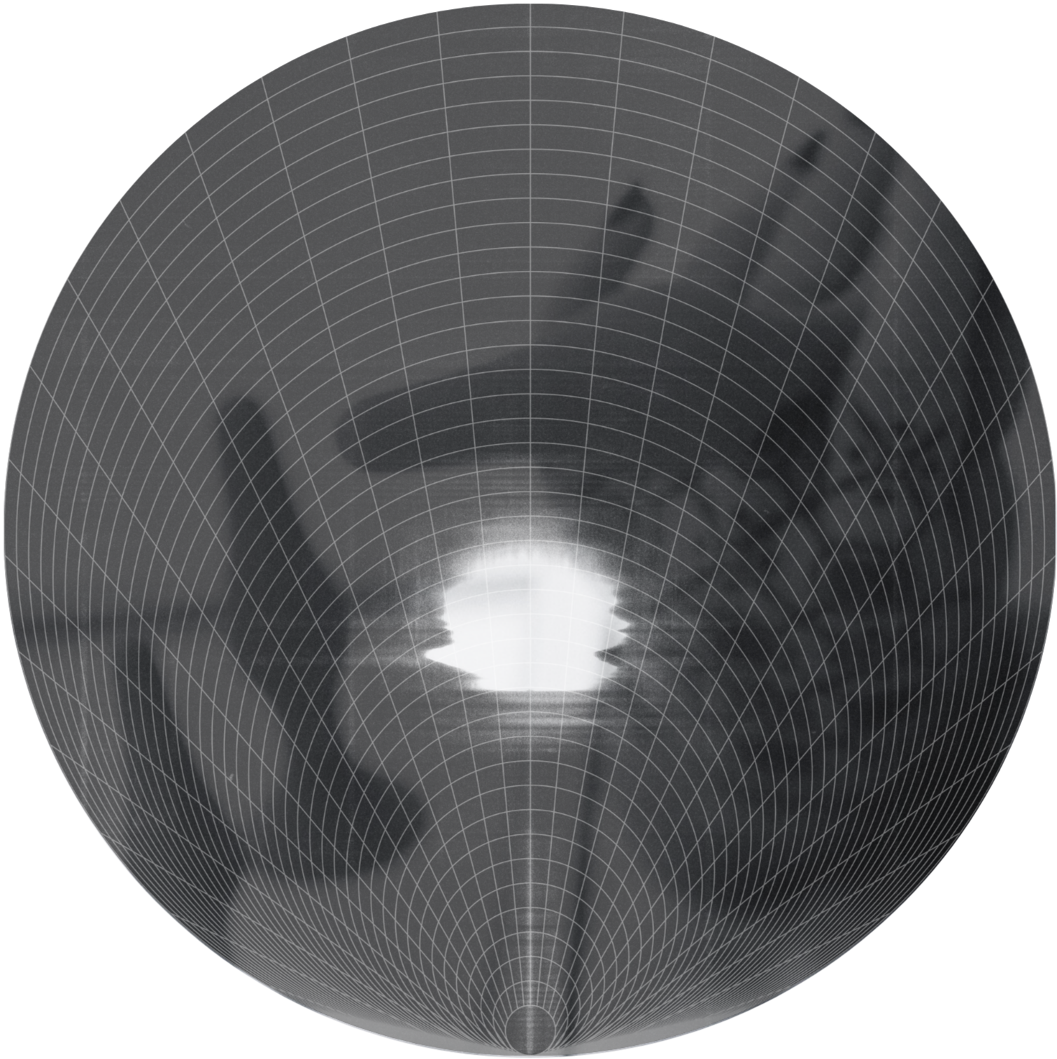 Chicago Anal Play | Structured, Safe, Expert-Led Sessions — Erin Black