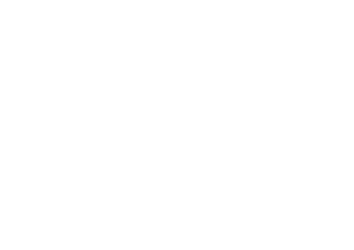 NESTWISE AT HOME | Language and Literacy for Homeschool