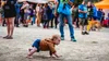 Festival Info | Enjoy Your Festival Journey – Book Tickets Today ...