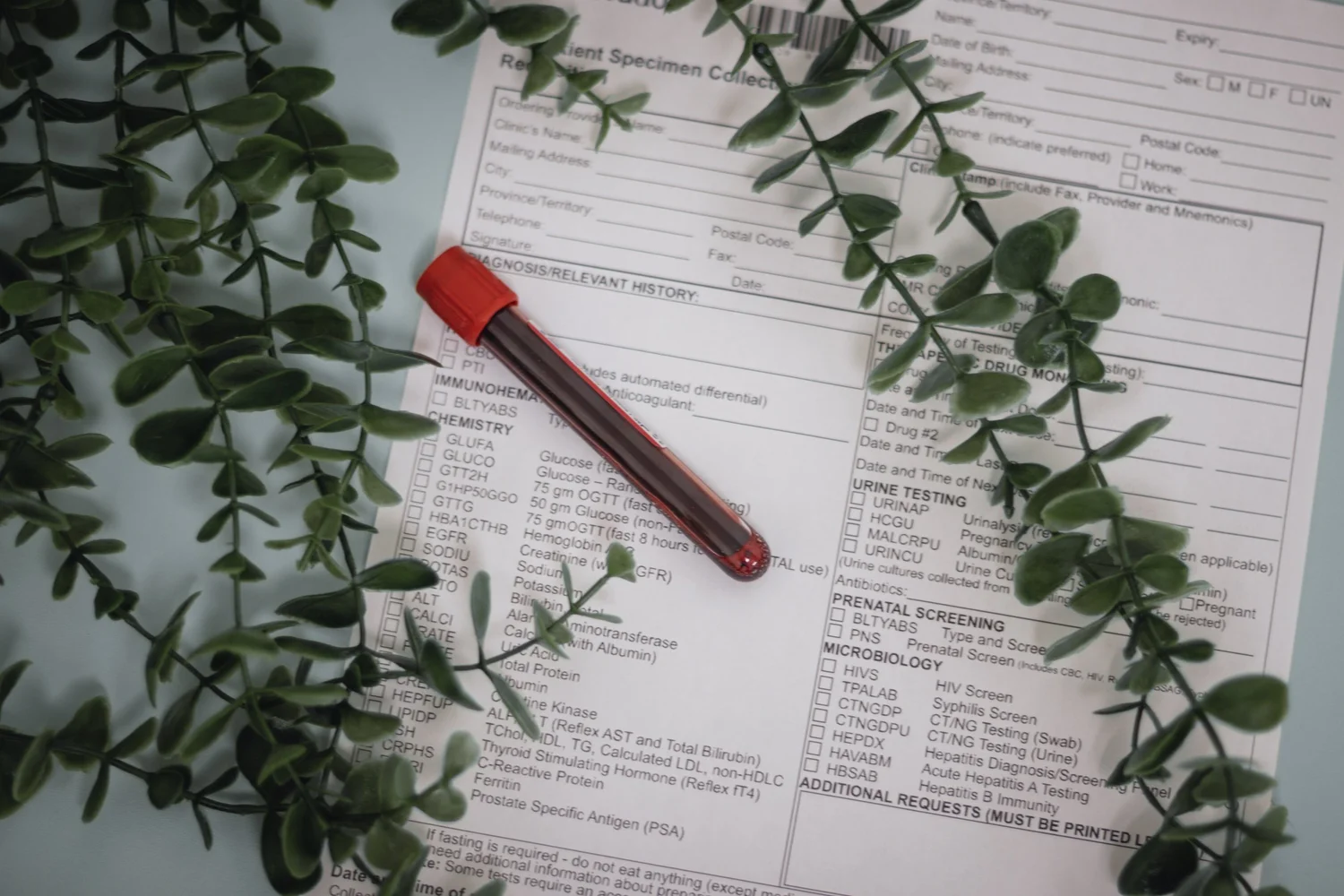 Gentle Touch Blood Collection | Schedule Your Test Today