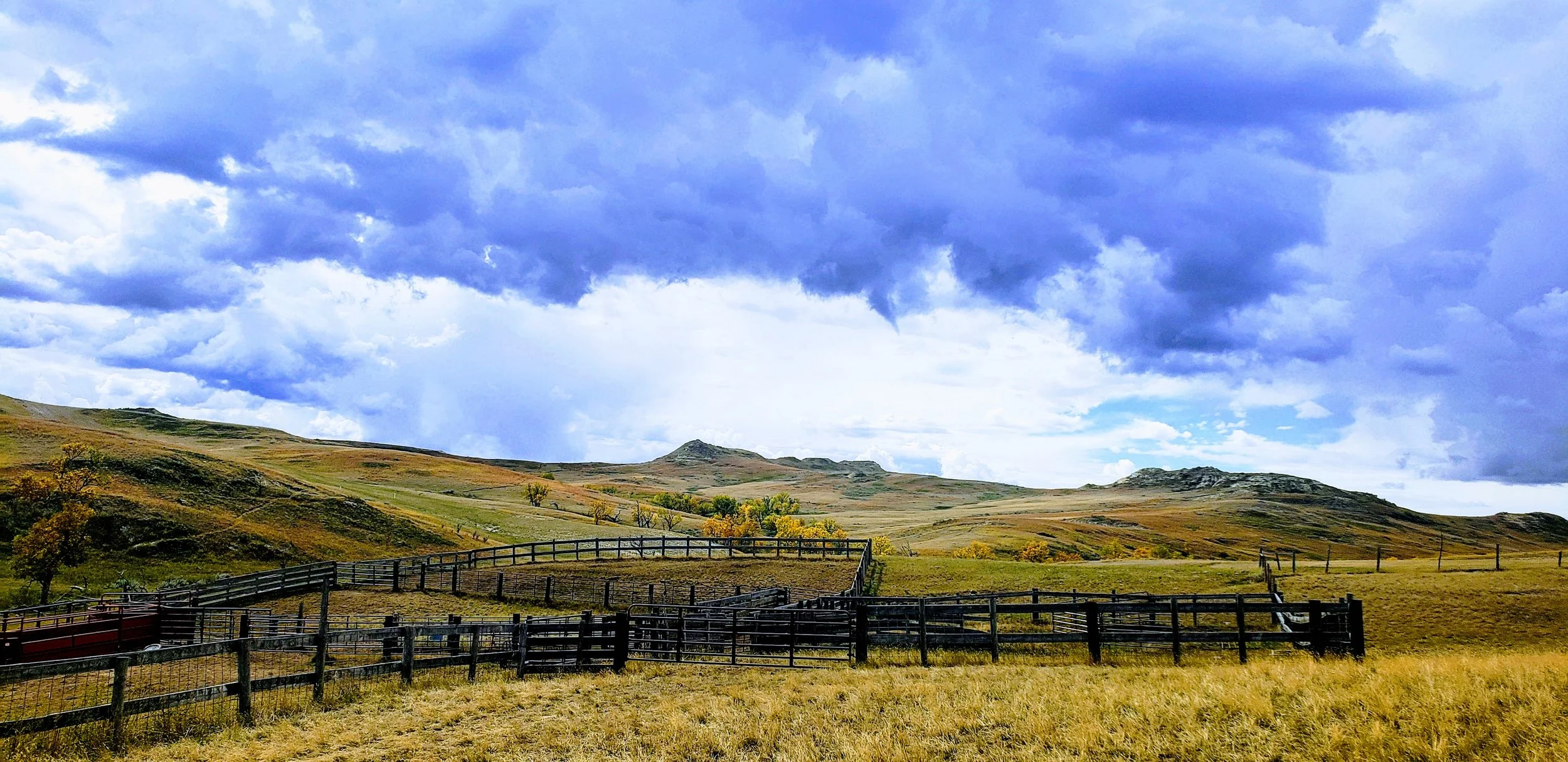 About | Beach, ND — Gasho Ranch