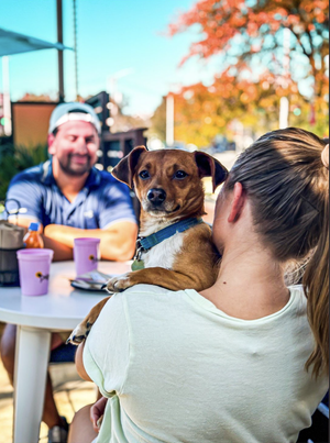 Diego Bar & Restaurant | Chicago | Discover Bold Flavors Today