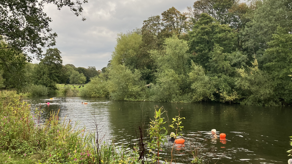 Swillington Wilds