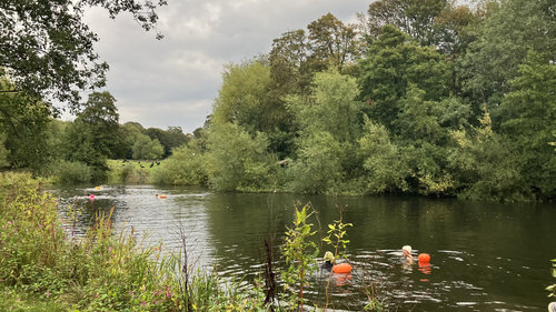 Swillington Wilds