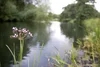 Practical Information — Swillington Wilds