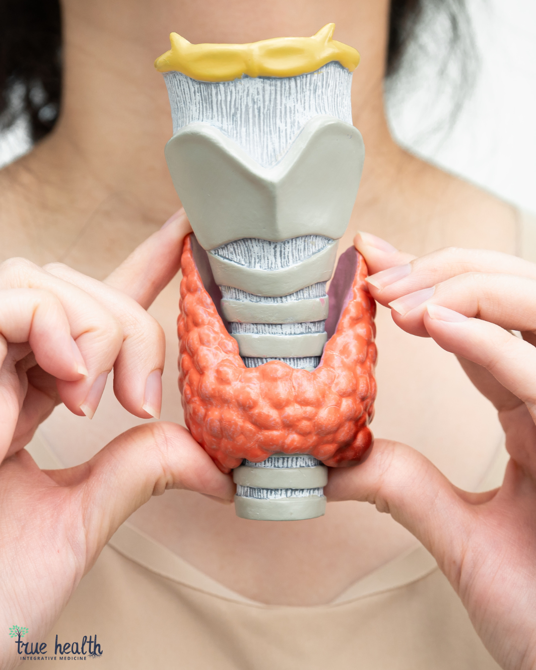Thyroid Optimization | Get Personalized Wellness Assistance — TRUE HEALTH