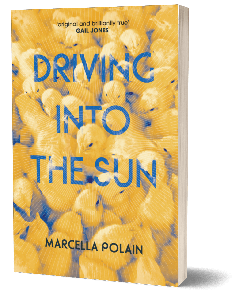 Books — Marcella Polain