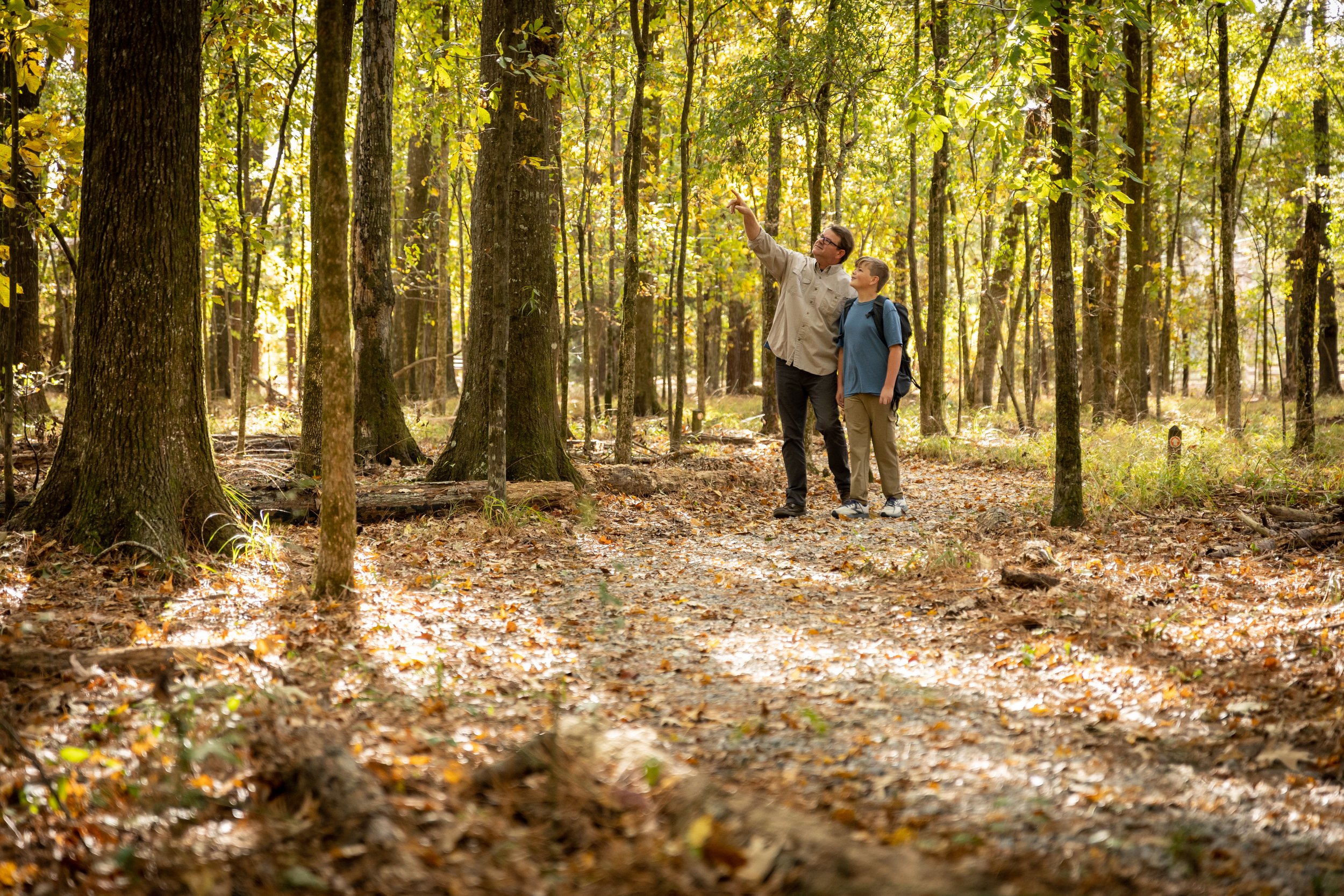 Explore the Trail | Discover Mississippi Trails Today — Great ...