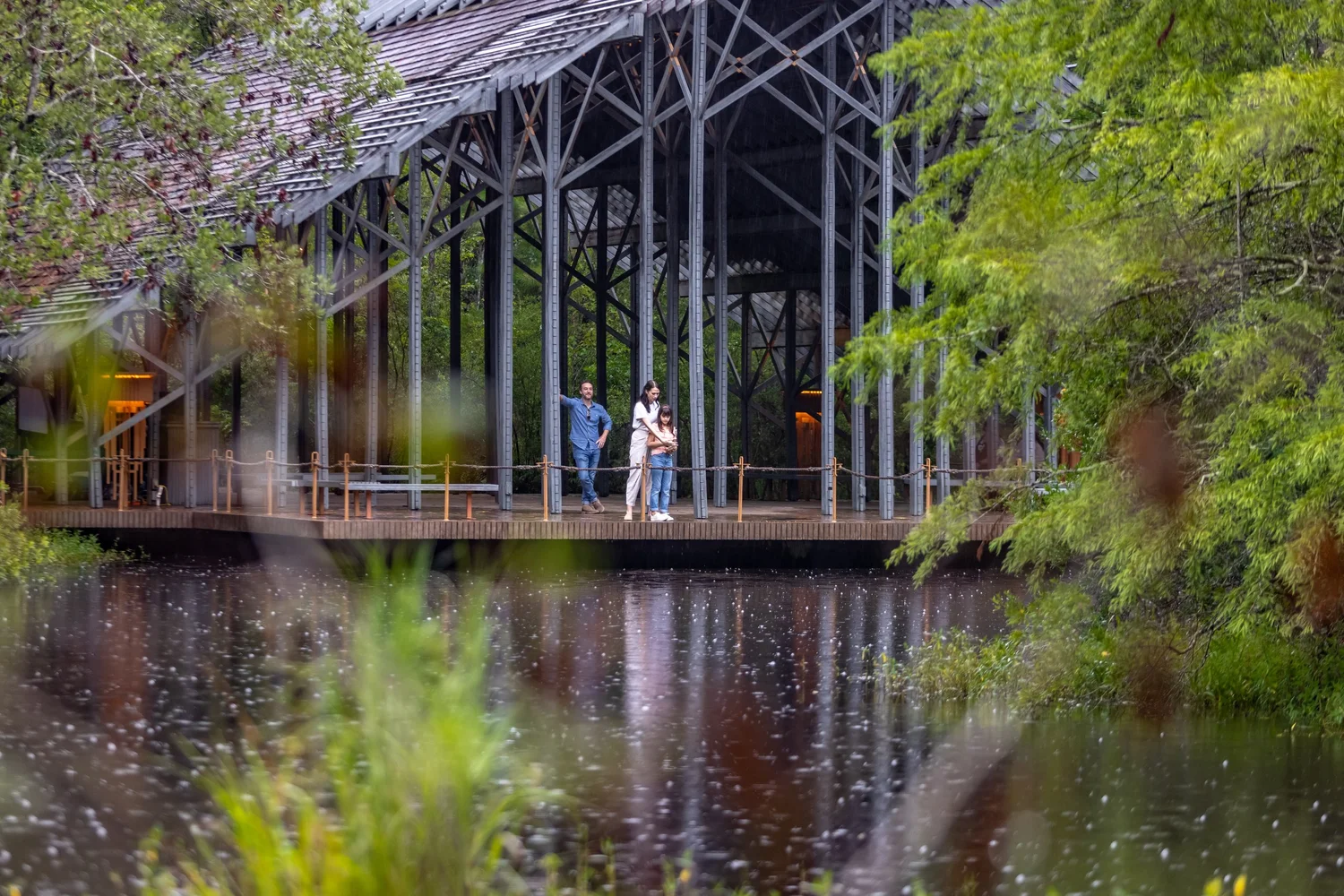 Great Mississippi Nature Trail | Discover & Explore Outdoors