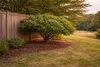 Wind Protection and Fencing Considerations — Giles County Figs