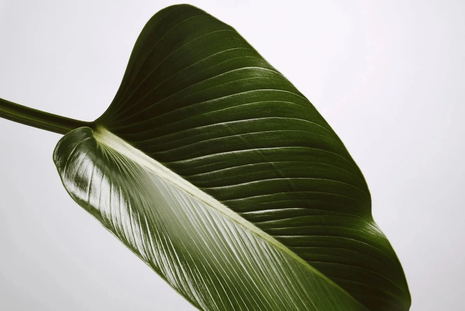 Runway Pilates | Reformer Pilates Studio in Manchester and Cheshire