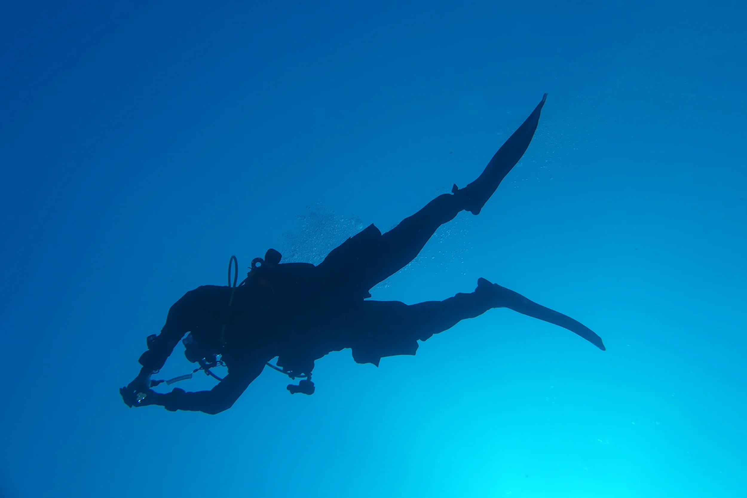 Imprint | Join Diving Adventures Today — Frankfurt Dive Center