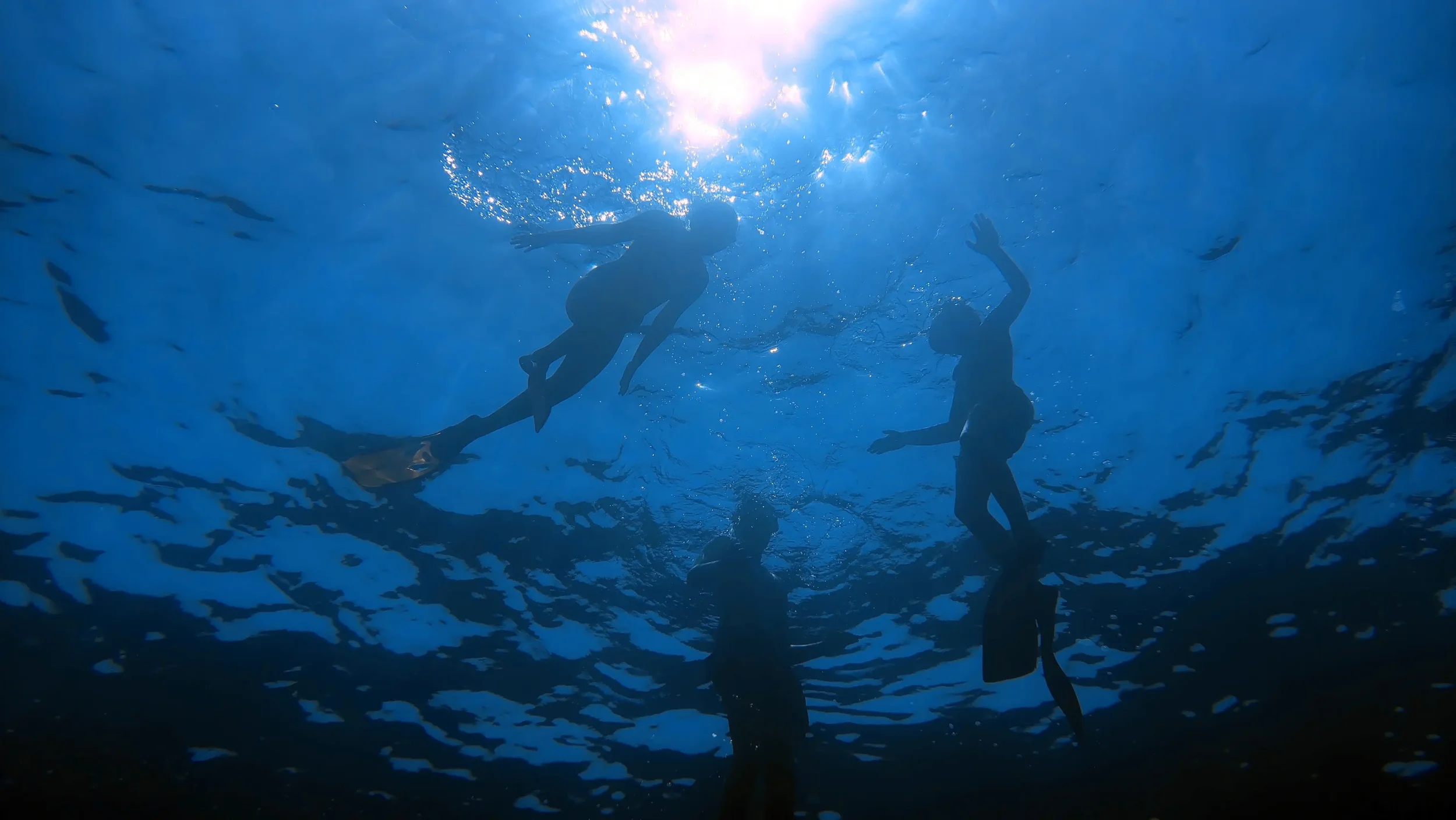 About | Start Your Diving Journey Today — Frankfurt Dive Center