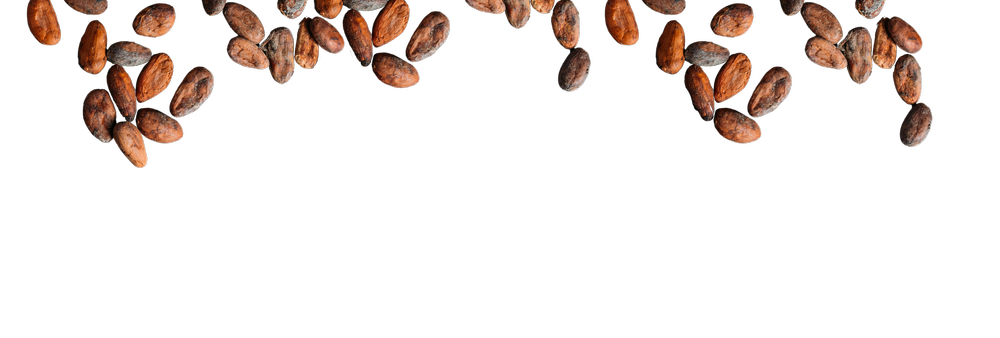 Federice Estates | Enhance Your Products - Shop Quality Cocoa