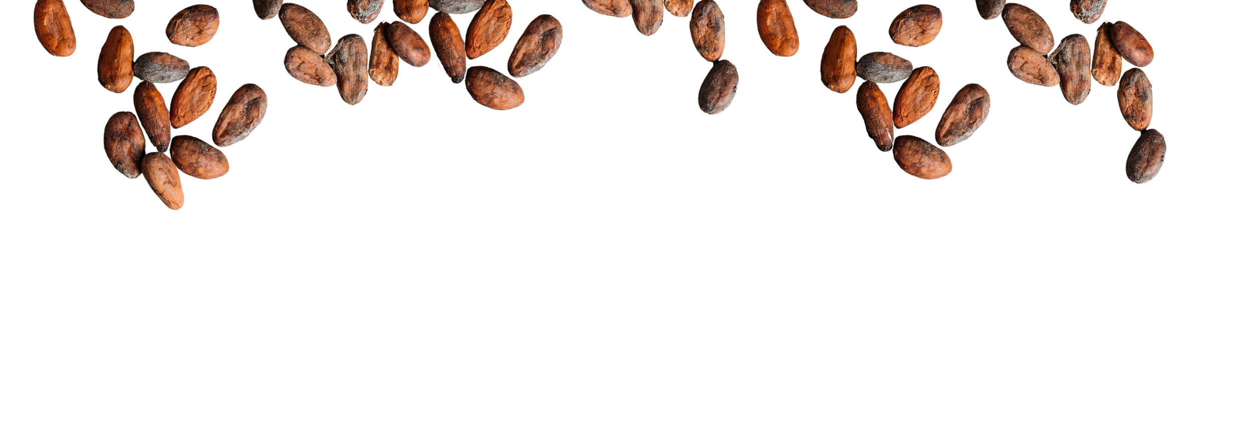 Federice Estates | Enhance Your Products - Shop Quality Cocoa