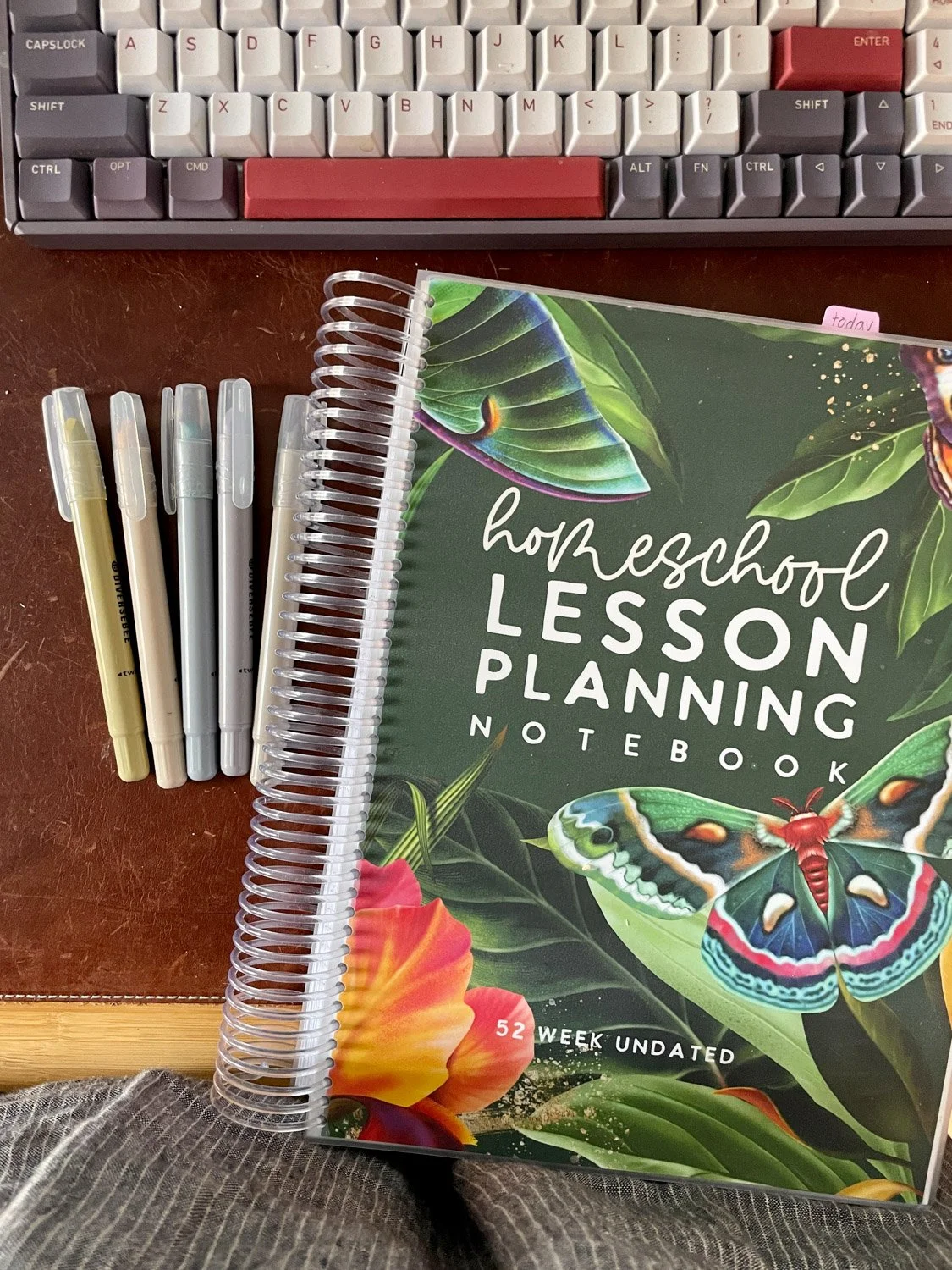 Foundational Reading Instruction Guide — Homespun Childhood