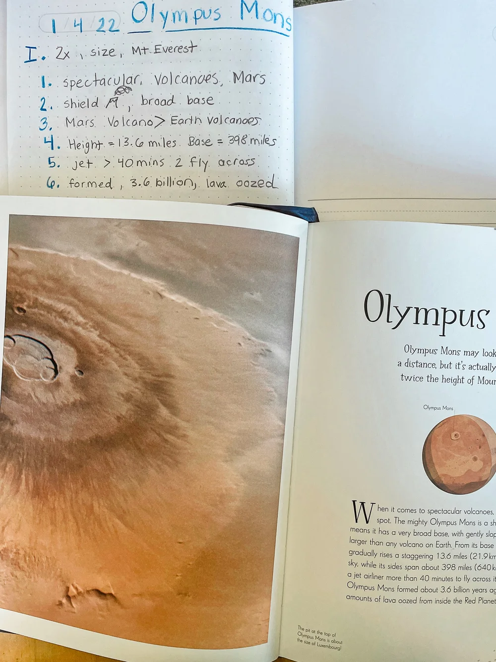 IEW: A Guide — Homespun Childhood
