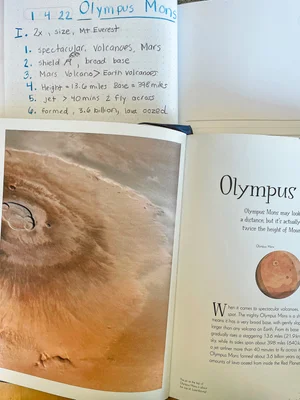 IEW: A Guide — Homespun Childhood