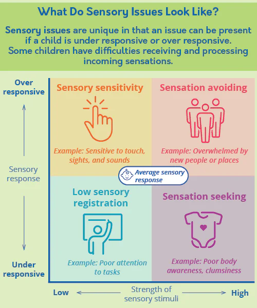 Understanding and Supporting Sensory Needs in Our Homeschool — Homespun ...